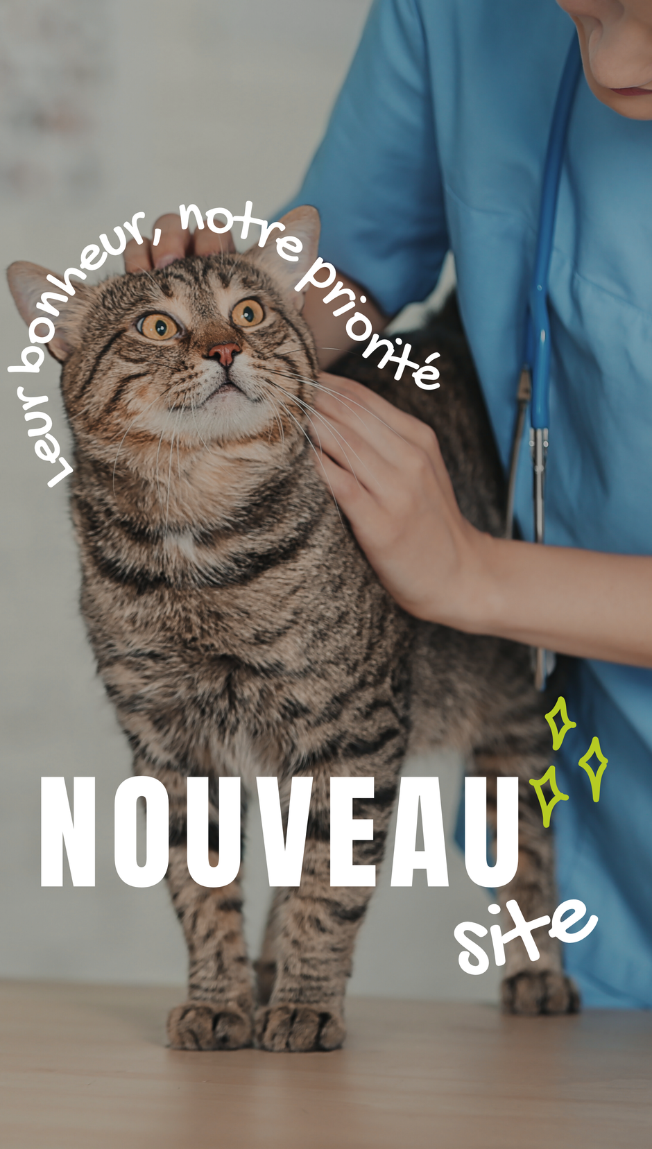 Pâtées pour chat : boîtes, sachets ou barquettes de pâtées - Wanimo