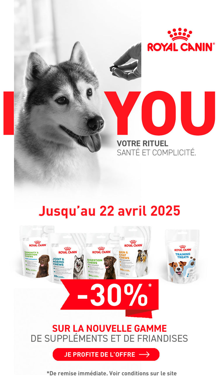 Observence Chat – Wanimo