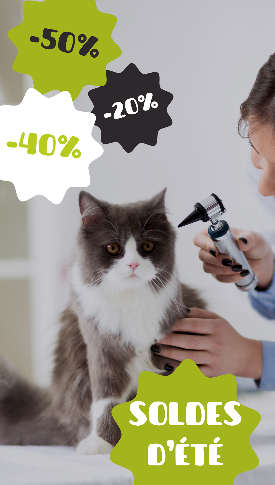 Boutique pour chat en ligne : accessoires et nourriture Chat - Wanimo